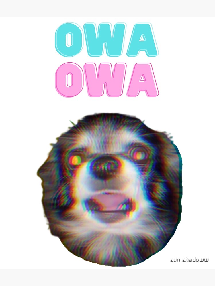 Discover which dog breed matches your Myers-Briggs® personality type.