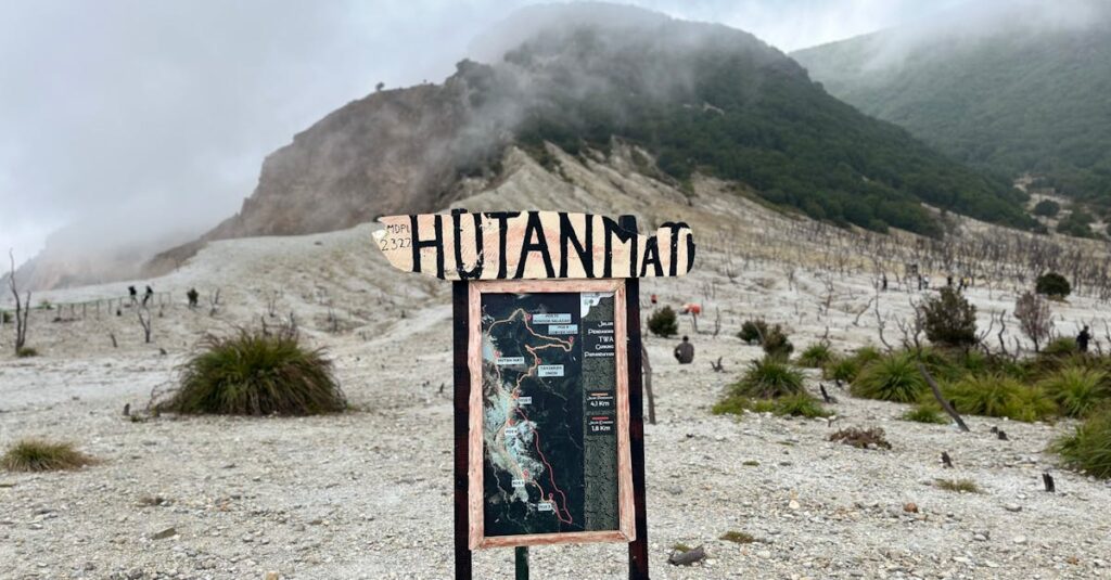 The hidden facets of your MBTI type